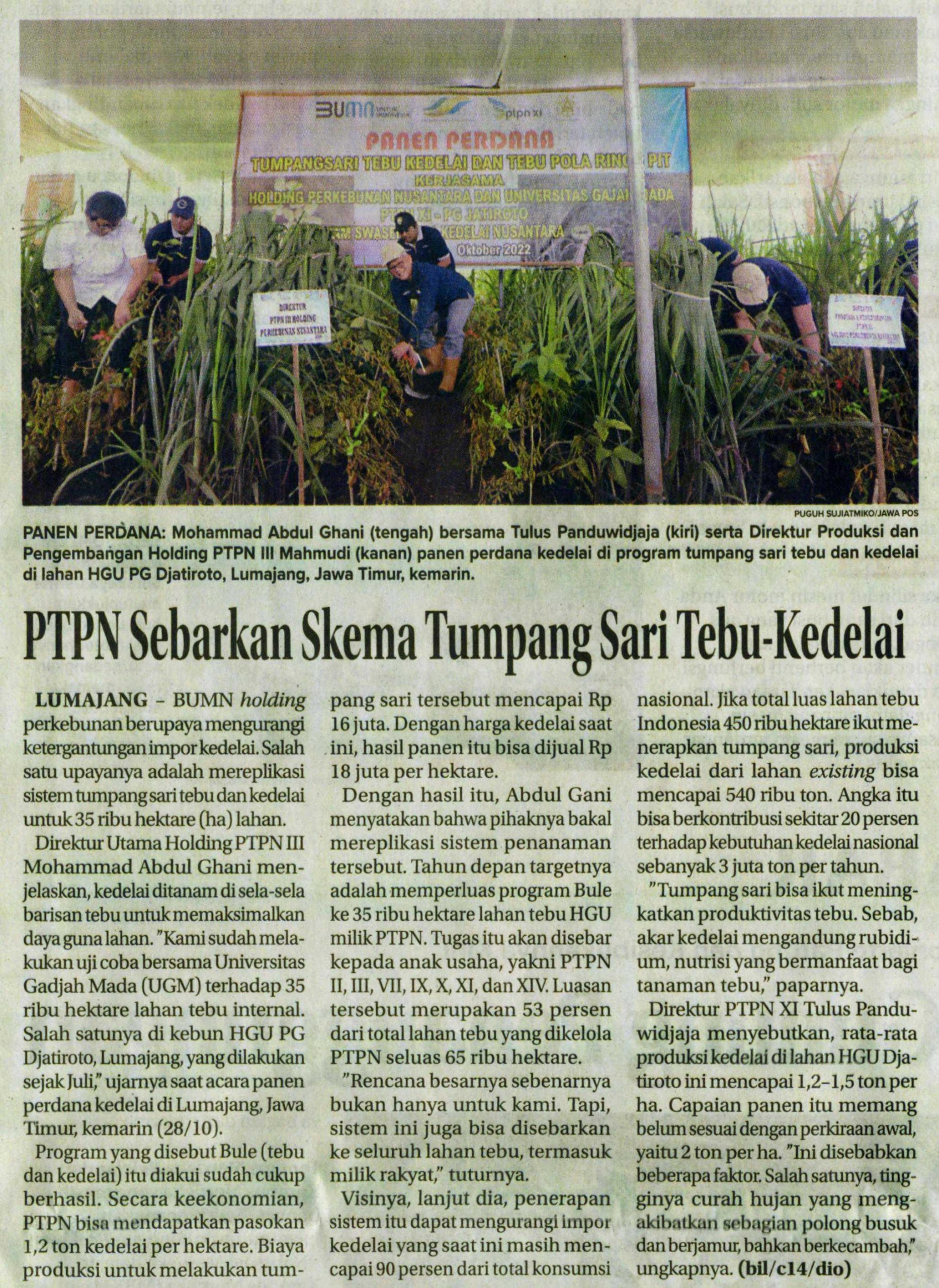 PTPN Sebarkan Skema Tumpang Sari Kedelai – koran.humas.ugm.ac.id