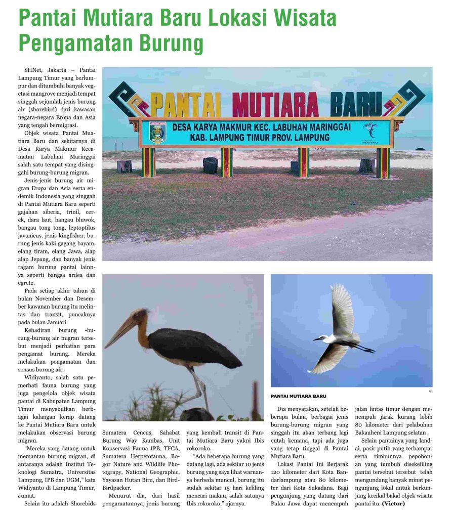 Pantai Mutiara Baru Lokasi Wisata Pengamatan Burung – koran.humas.ugm.ac.id